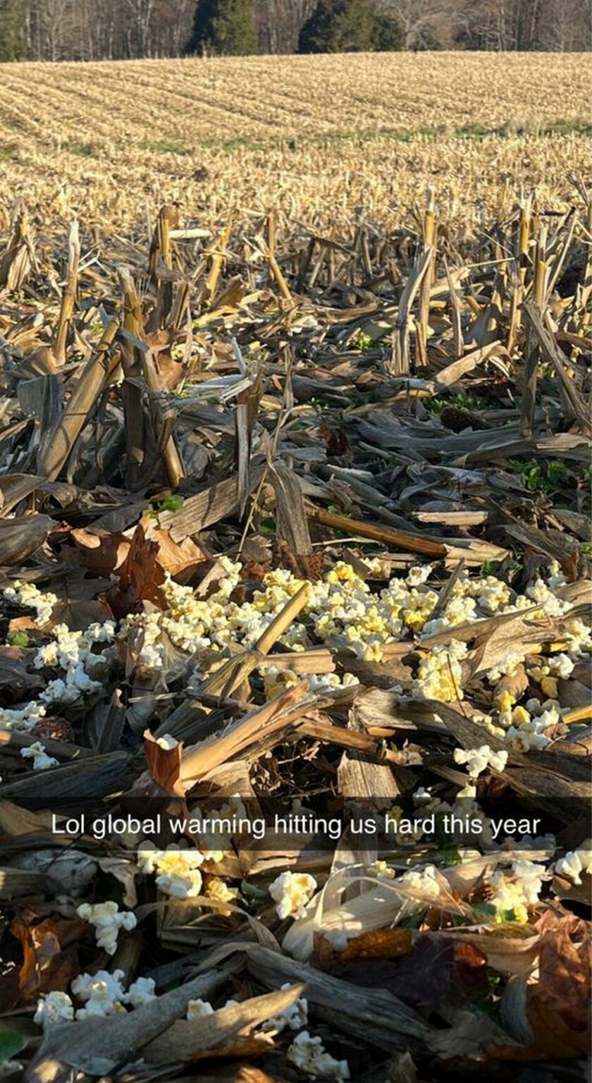 45 Popcorn Memes That Will Make You Laugh Out Loud