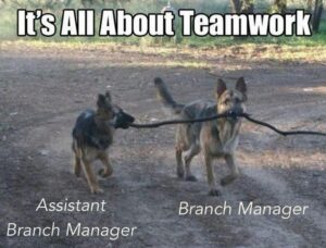 55 Teamwork Memes That Capture the Essence of Collaboration