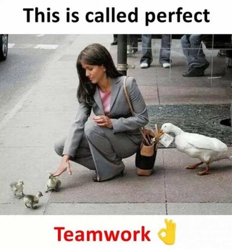 55 Teamwork Memes That Capture the Essence of Collaboration