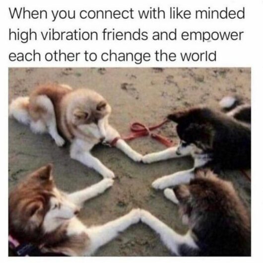 55 Teamwork Memes That Capture the Essence of Collaboration