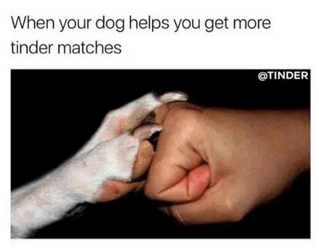 55 Teamwork Memes That Capture the Essence of Collaboration