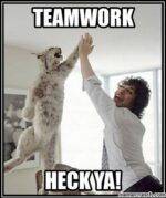55 Teamwork Memes That Capture the Essence of Collaboration