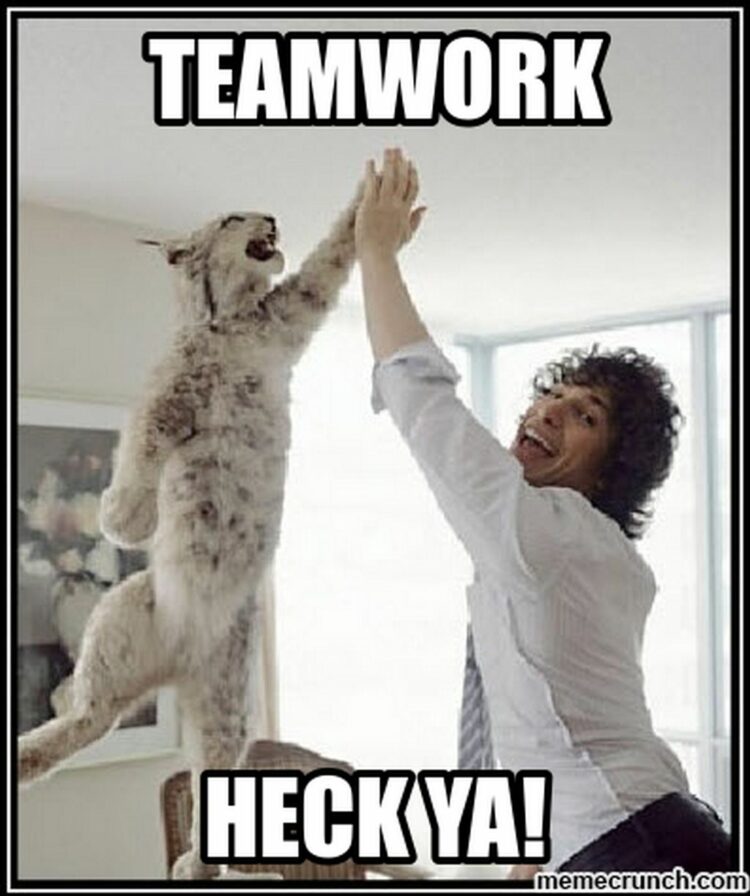 55 Teamwork Memes That Capture the Essence of Collaboration
