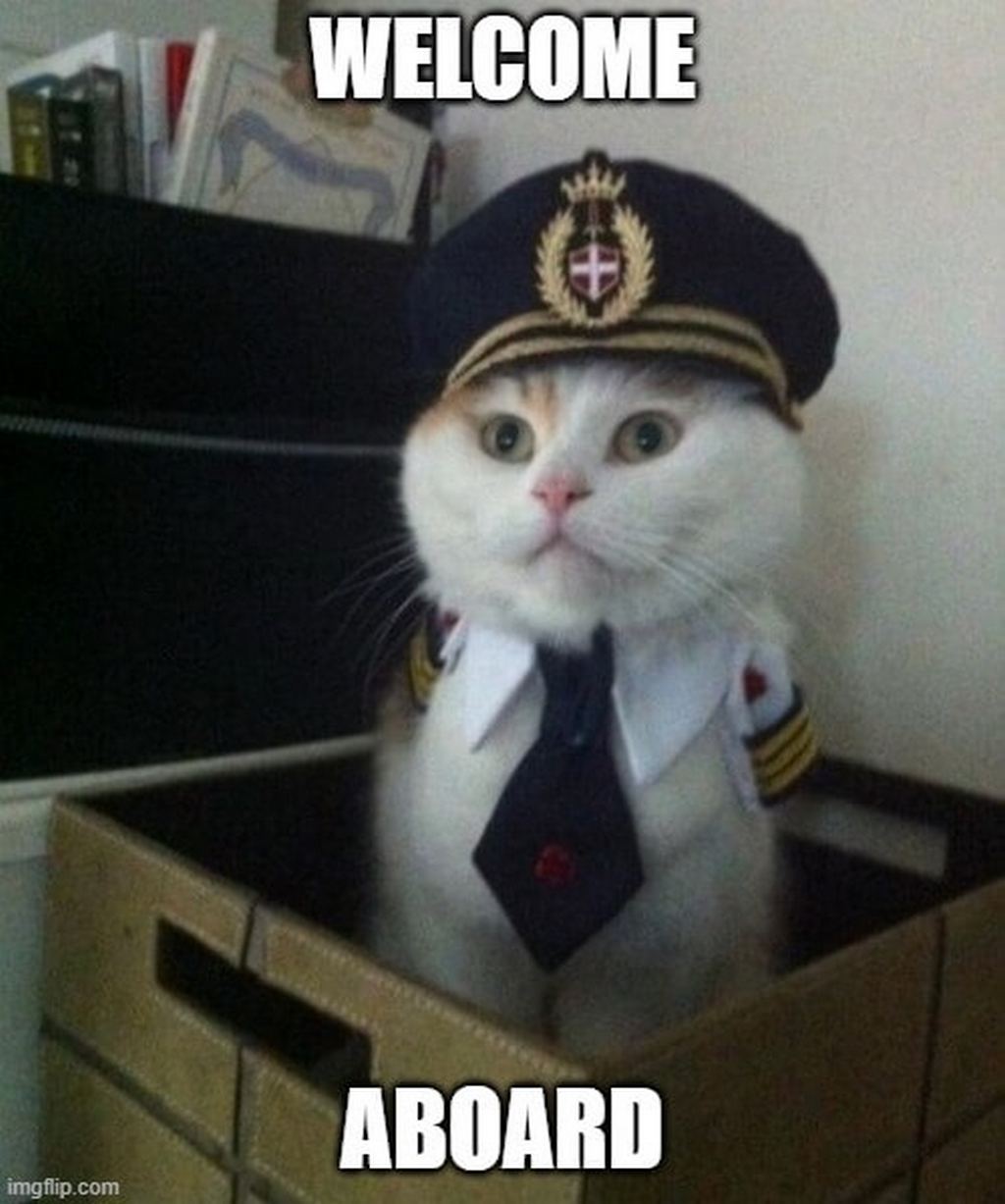 31 Hilarious "Welcome" Memes that Break the Ice