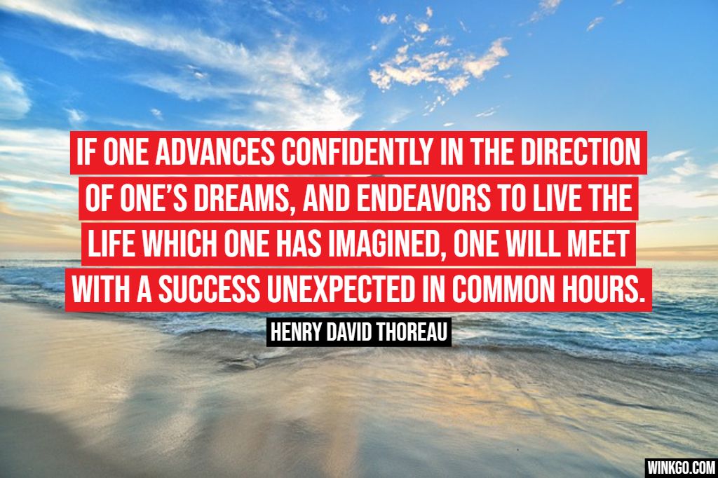 101 Dream Quotes to Inspire You to Reach for the Stars