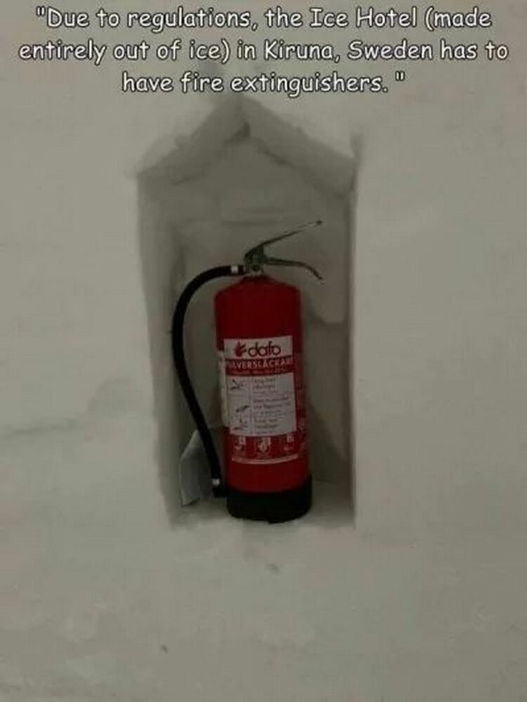 37 Best Fire Memes Where Heat Meets Humor