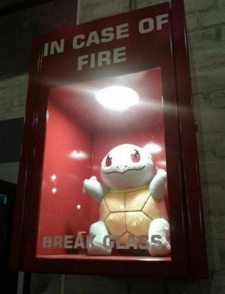 37 Best Fire Memes Where Heat Meets Humor