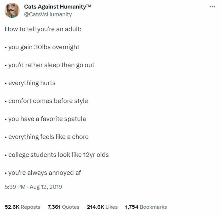 27 Funny Adulting Memes to Make You Laugh and Relate