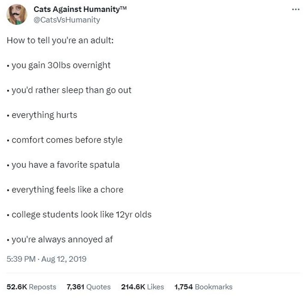 27 Funny Adulting Memes to Make You Laugh and Relate