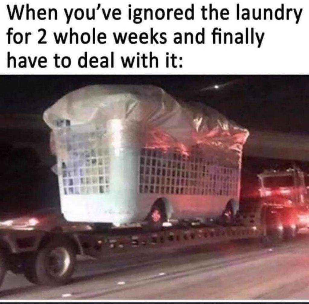 27 Funny Adulting Memes to Make You Laugh and Relate