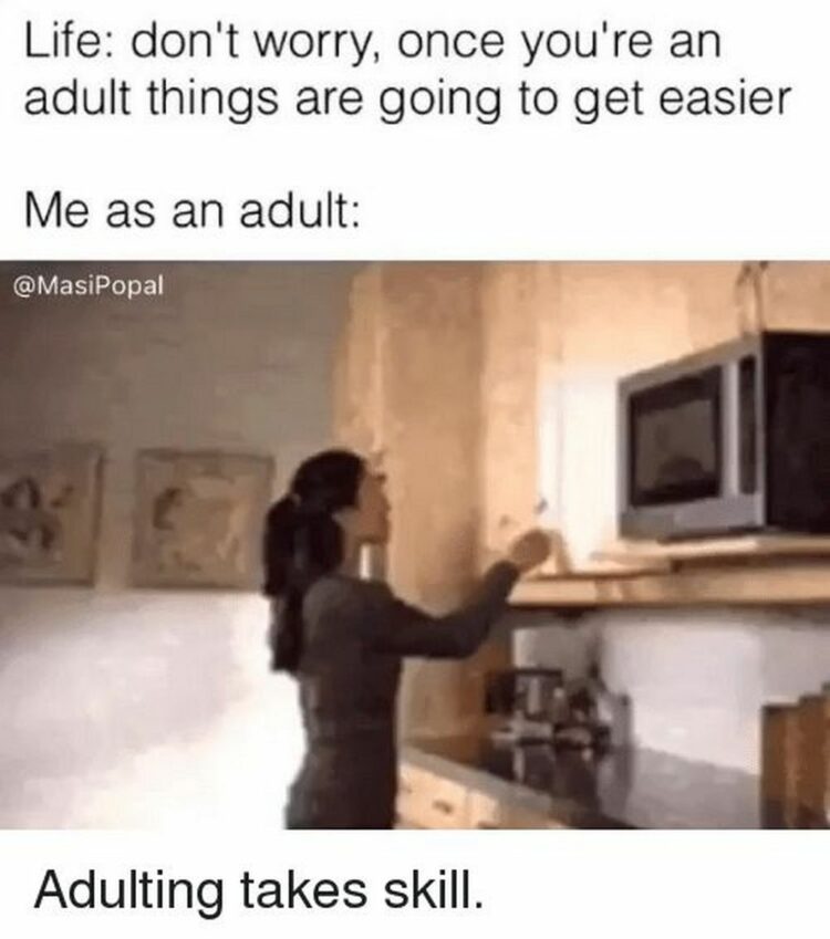 27 Funny Adulting Memes to Make You Laugh and Relate