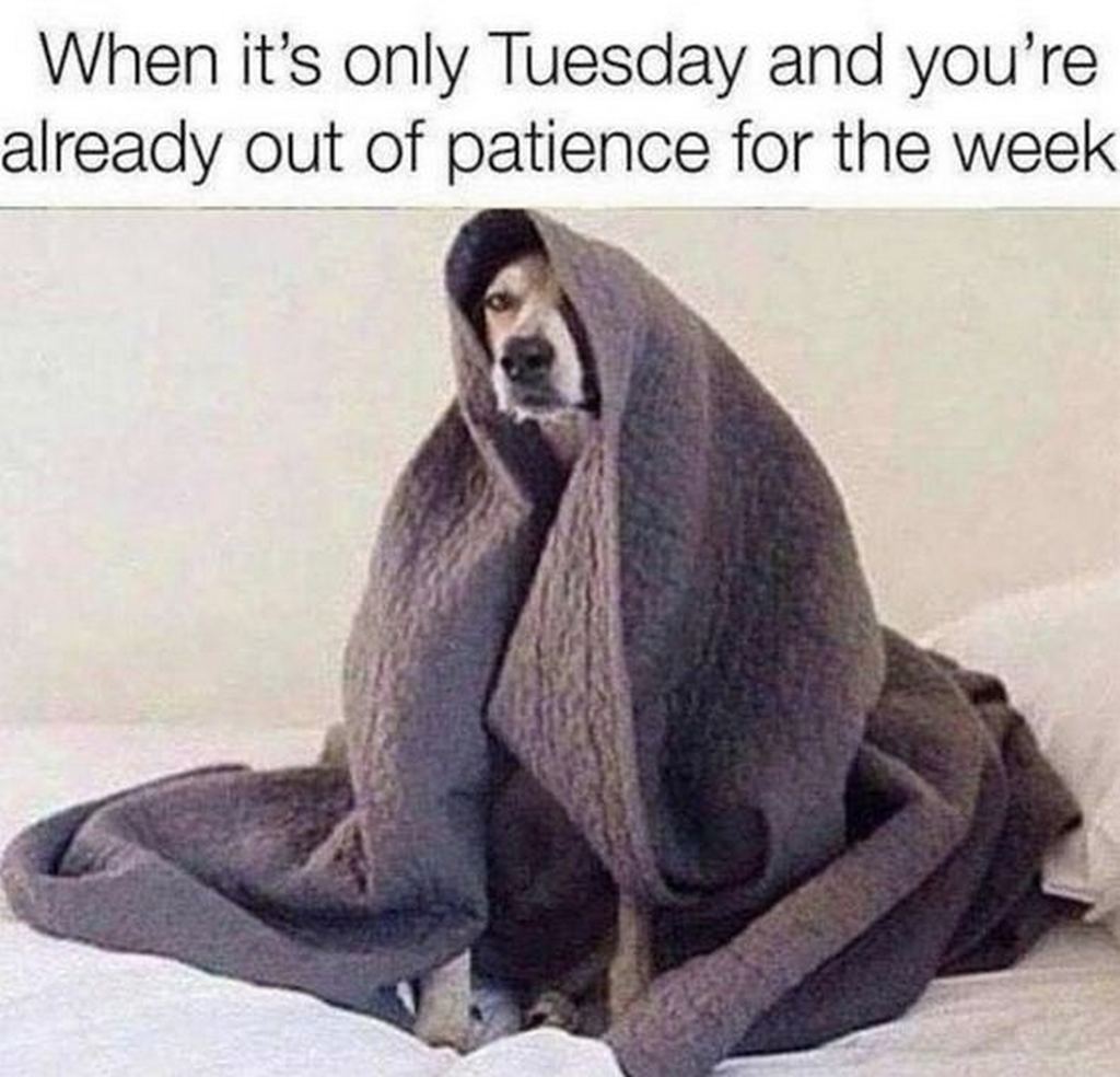 27 Funny Adulting Memes to Make You Laugh and Relate